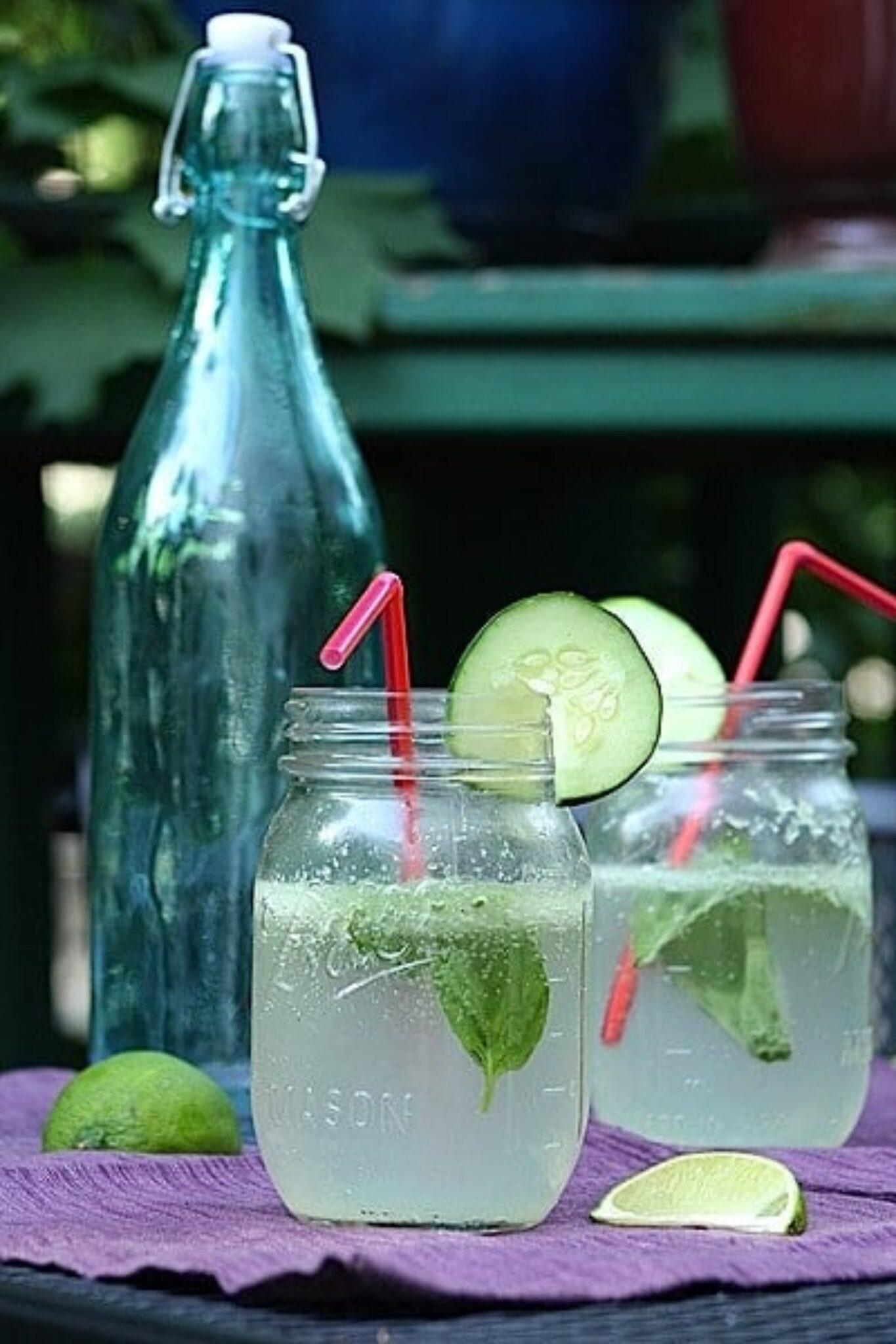 Cucumber Basil Sparkling Water Infusion - InfusionLab: The Science ...